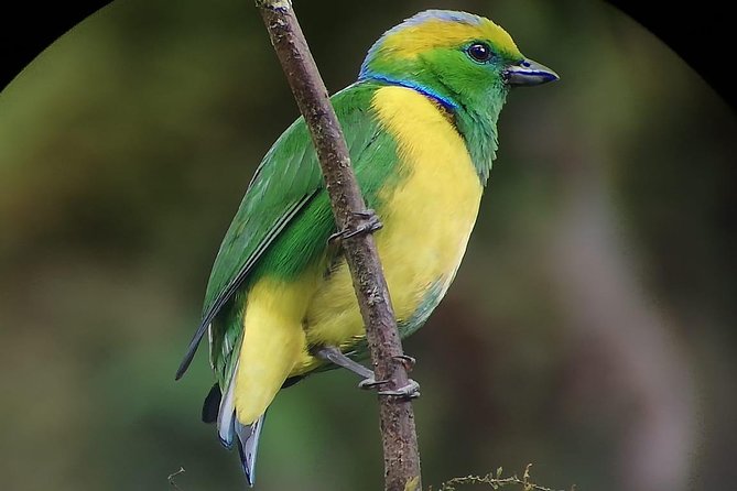 Hiking to Curi-Cancha Reserve - Wildlife Sightings
