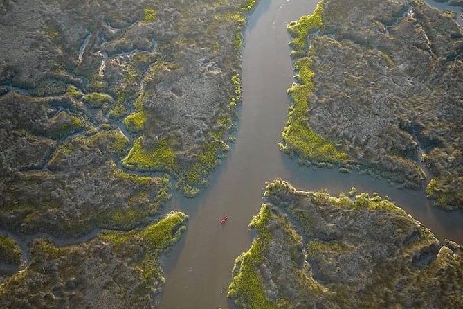 Hilton Head Guided Kayak Tour - Booking and Availability