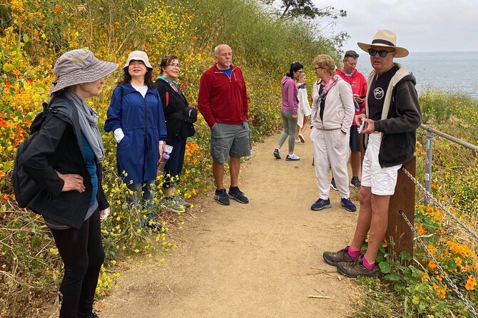 Historic La Jolla Walking Tour - Traveler Reviews and Feedback