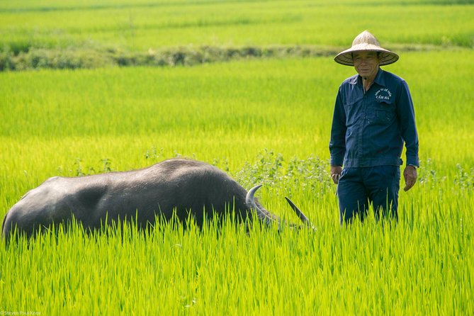 HOI AN Biking River Islands, Villages, Local Crafts PRIVATE TOUR - Final Thoughts