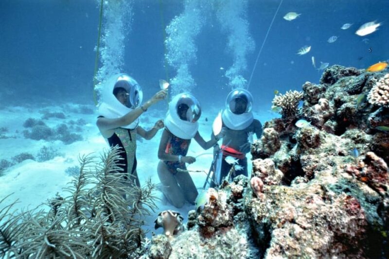 Hoi An: Cham Island Snorkeling or Underwater Walking Tour - Key Points