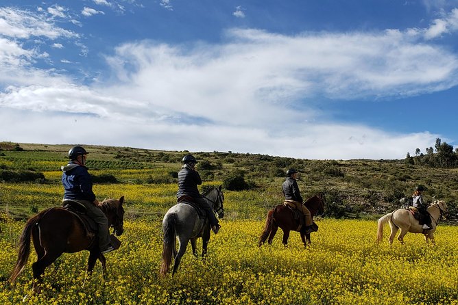 Horseback Riding in Cusco to the Temple of the Moon - Participant Suitability and Requirements
