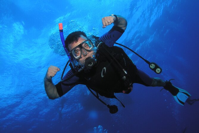 Intro/Refresher Dive Swim Ability Required - Who Should Consider This Tour?