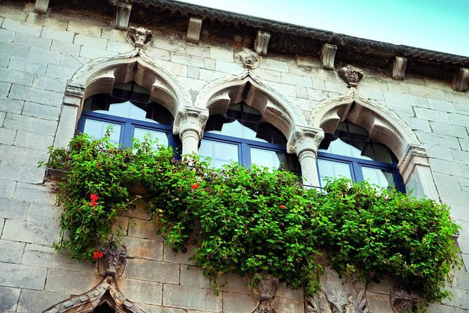Istria in 1 Day Tour Review - Accessibility and Physical Requirements