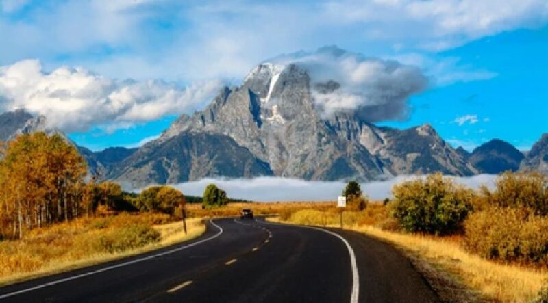 Jackson: Grand Teton National Park Guided Wildlife Tour - Who Should Consider This Tour