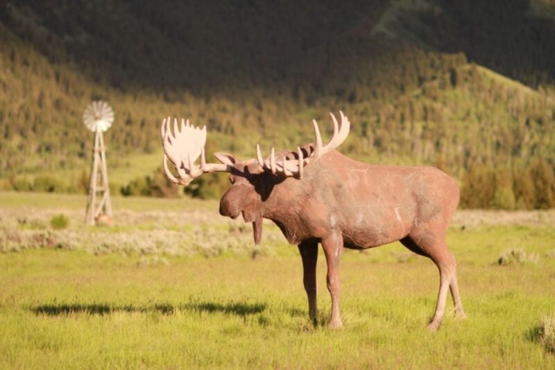 Jackson Hole: Moose Meadow Horseback Tour with Breakfast - Final Thoughts