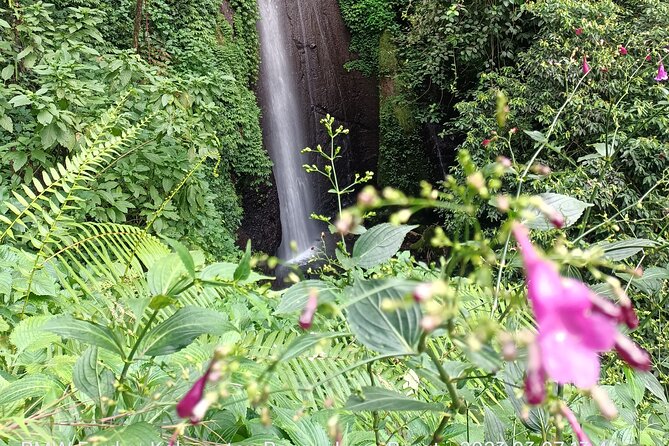 Jakarta Bogor Botanical Garden, Waterfall and Rice terrace, Lunch - Who Is This Tour Best For?