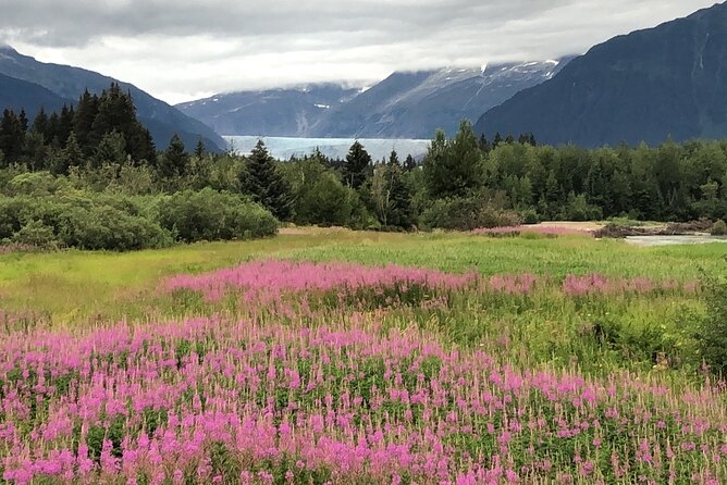 Juneau Private 3 Hour Scenic Road Trip - Tour Accessibility and Requirements