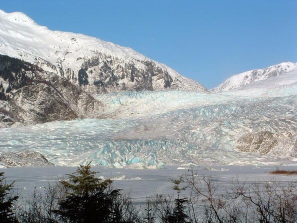 Juneau Wildlife Whale Watching & Mendenhall Glacier - Reviews and Authentic Perspectives