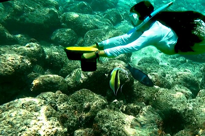 Kauai Snorkeling Adventure - The Sum Up