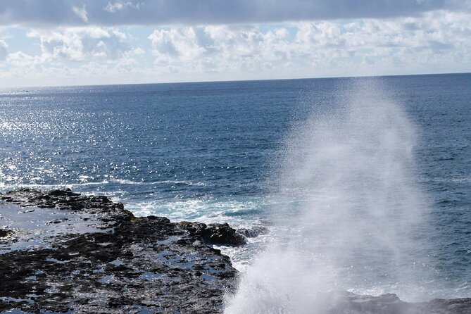 Kauai Waimea Canyon and Koke'e Tour - Final Thoughts