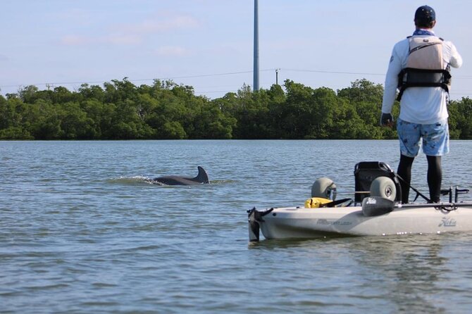Kayak Tour Adventure Marco Island and Naples Florida - Practical Details: What You Need to Know