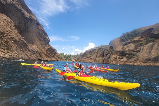Kayak Tour at Calanques National Park (Ciotat) - Customer Reviews and Feedback