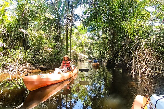 Kayak Tour - Meeting and Logistics