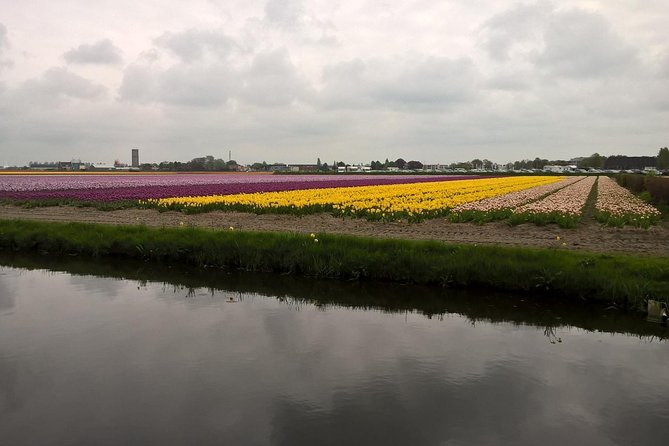 Keukenhofs Tulips and Windmills Small-Group Tour From Amsterdam - Recommendations and Tips