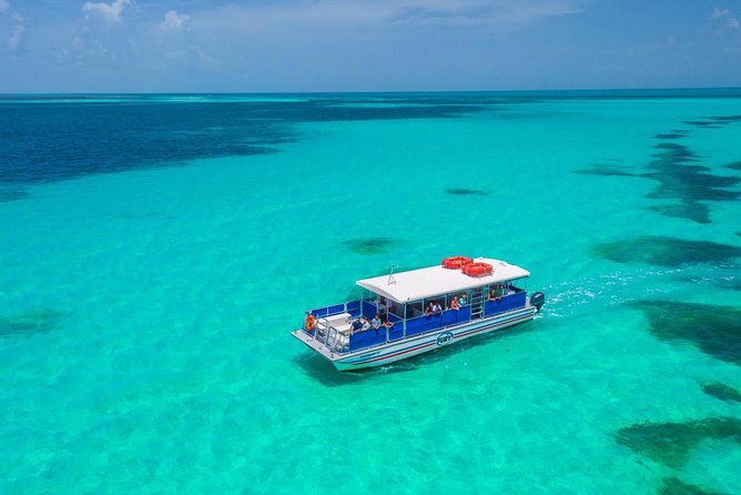 Key West Dolphin Watch and Snorkel Tour - Eco Adventure - Final Thoughts