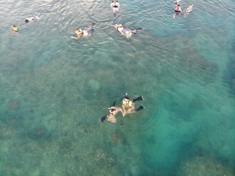 Key West: Dolphin Watching and Snorkeling Sunset Cruise - Authentic Feedback from Travelers