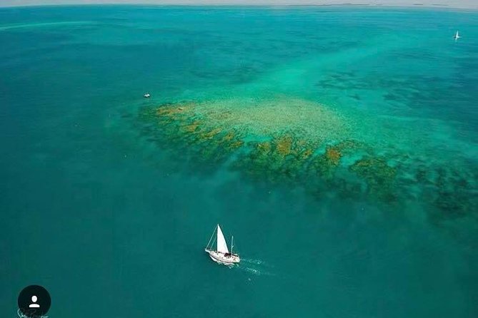 Key West Sailing & Snorkeling: A Reef Adventure - Crew Professionalism and Attention to Guests
