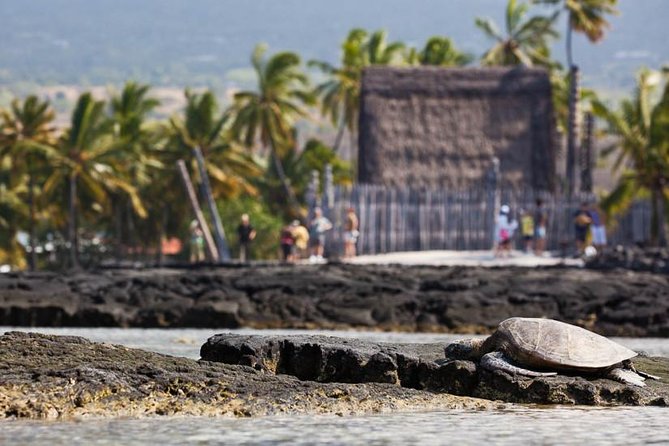 Kona Tour: Bee Farm, Kona Coffee, and National Historical Parks - The Experience at Big Island Bees