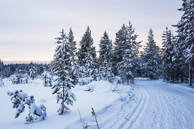 Korouoma Canyon Snowshoe Trip - Photography Opportunities