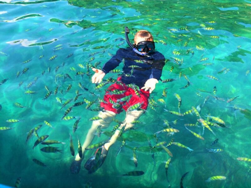 Krabi: 4 Islands Snorkeling Boat Tour - Who Will Love This Tour?