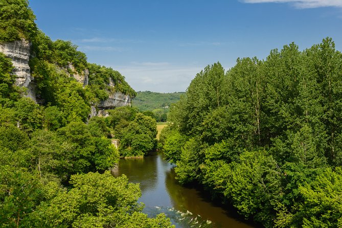 Lascaux IV Visit - Half Day Tour From Sarlat - Reviews and Customer Feedback