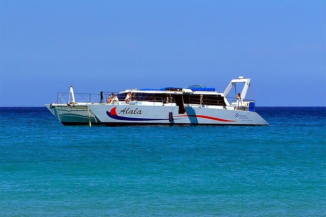 Late-Morning Whale Watch from Kawaihae - Who Will Appreciate This Tour?