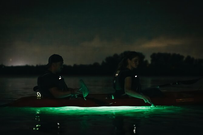 LED Bio Comb Jelly Clear Bottom Kayak or Paddleboard Tour! - FAQ