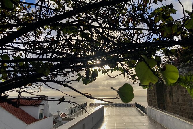 Lisbon Off The Beaten Track and Main Sights Private Walking Tour - Discovering Old Shipyards and Trendy Shops