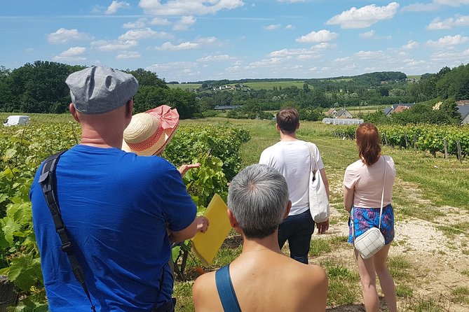 Loire Valley Day From Amboise : Azay Le Rideau, Villandry, Winery - Discovering Château Dazay-Le-Rideau