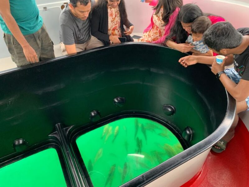 Long Beach: Glass Bottom Boat Harbor Ecotour - FAQs