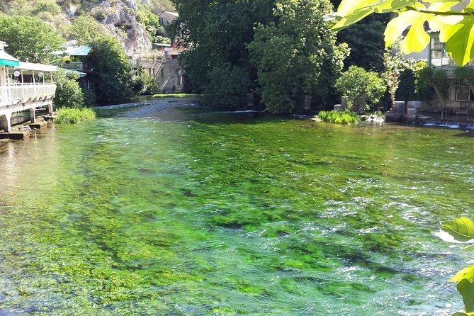 Luberon, Roussillon & Gordes Half-Day Tour From Avignon - Guest Experiences and Feedback