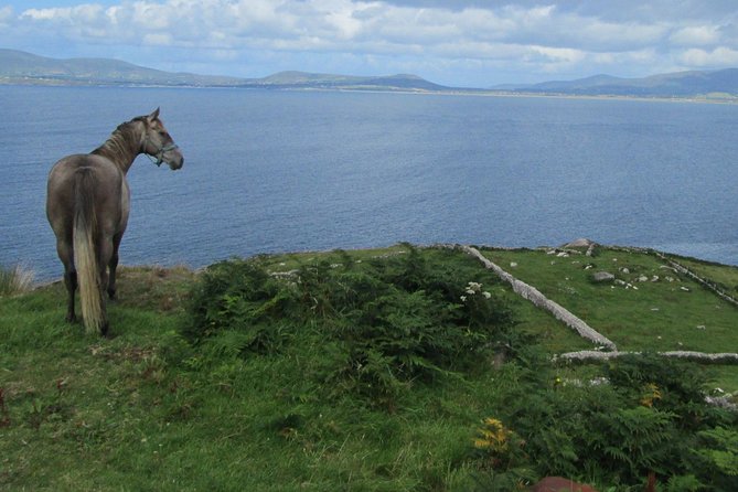 Luxury Photography Day Tour on Ring of Kerry and Skellig Ring - Fully Guided and Chauffeured - Since You Asked