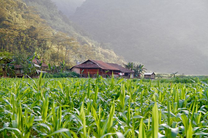 Majesty Of Untouched Northern Vietnam Tour 6 Days - Final Day: Serene Boating and Farewell to Nature