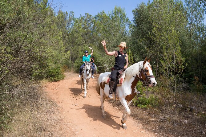 Mallorca Wine and Cheese Tasting - Convenient Meeting Location