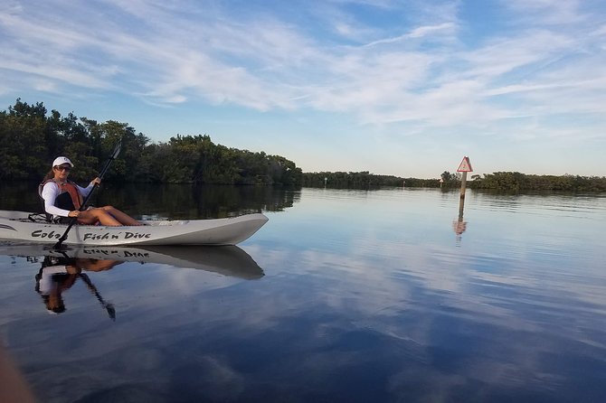 Mangrove Tunnels, Dolphins, Manatee Tour #1 Rated in Cocoa Beach - Final Thoughts