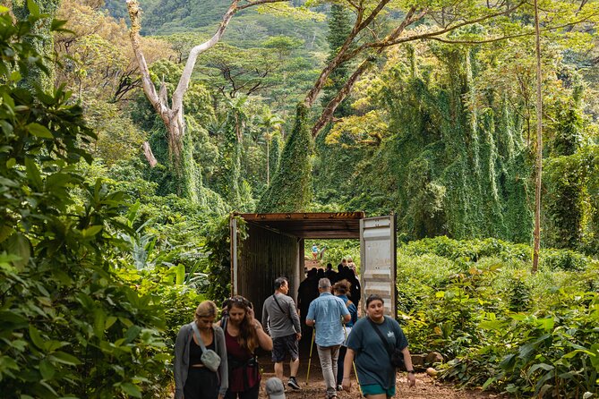 Manoa Waterfall Hike From Waikiki With Healthy Lunch Included - Feedback and Reviews