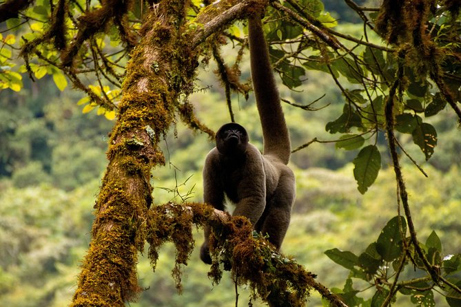 Manu National Park Tour 4days/3night - Transportation and Permits