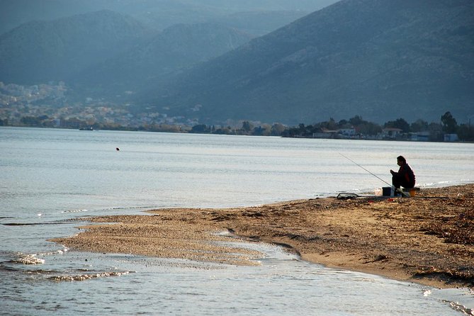 Marathon, Thermopylae, Thebes/Plataea, Herodotus Private Tour 10h - Battlefield Highlights: Marathon