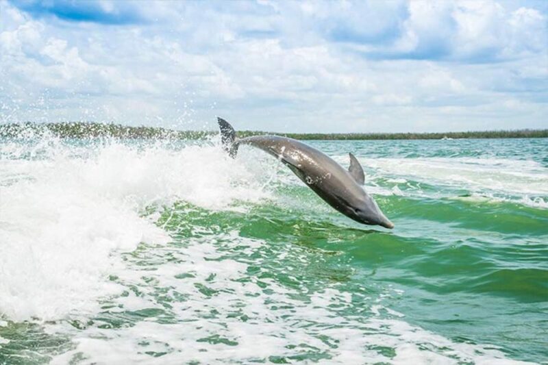Marco Island: Shelling and Sightseeing Boat Cruise - Frequently Asked Questions