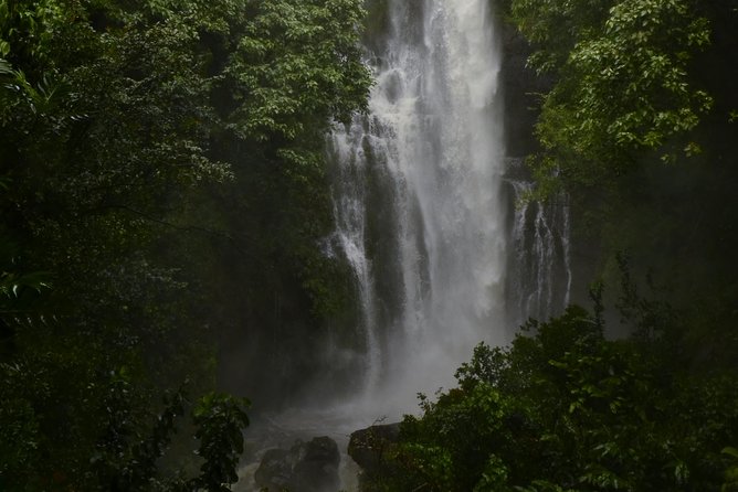 Maui Shore Excursion : Road to Hana Day Trip P/up Kaanapali - Pickup and Meeting Information