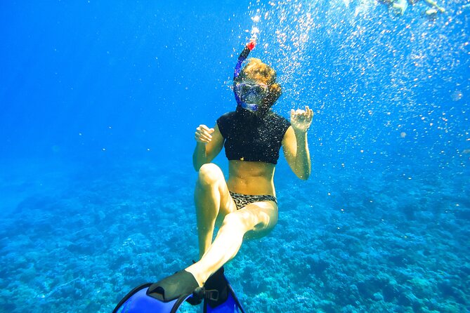 Maui Snorkel & Slide - The Waterslide and Additional Features