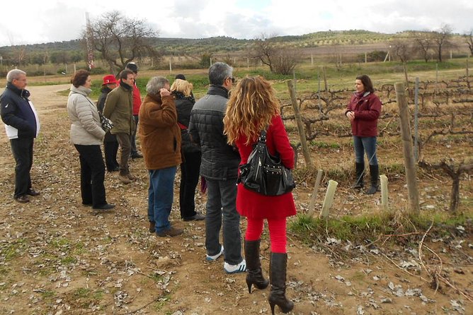 Medieval Castles, Wineries Experience With Tasting From Madrid - Logistics and Additional Information