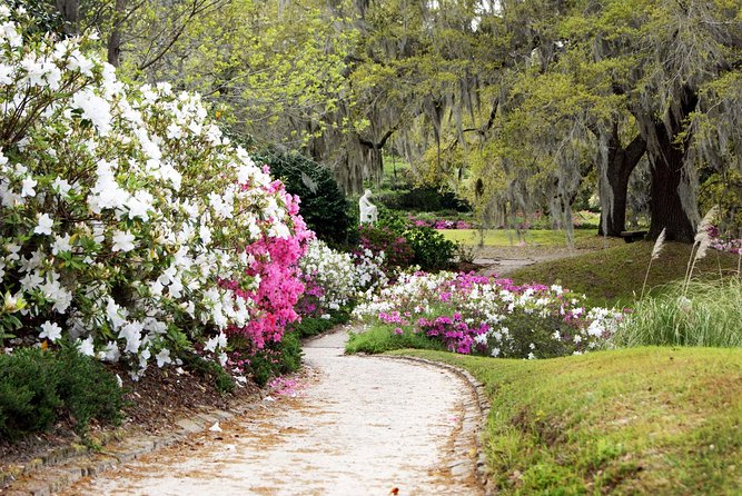Middleton Place Admission with Self Guided Tour and Lunch - Final Thoughts