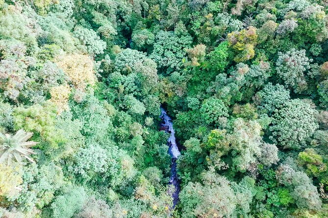 Mindo Cloud Forest Full Day Tour From Quito - Reviews and Ratings