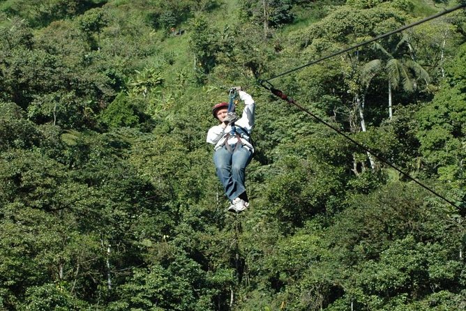 Mindo Cloud Forest - Nature & Birds - Personalized Day Trip - Customizing Your Mindo Cloud Forest Experience