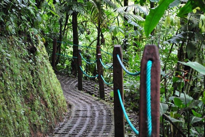Mistico Hanging Bridges Park From La Fortuna - Convenient Transportation and Amenities