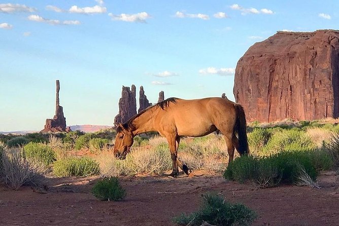 Monument Valley Group Tour - 3 Hours - Navajo Spirit Tours - Group Size, Booking, and Practical Tips