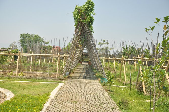 Morning Cooking Class in Organic Farm with Local Market Tour - The Sum Up