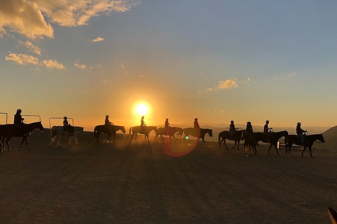 Mulholland Trail Horseback Tour - Recommendations From Travelers